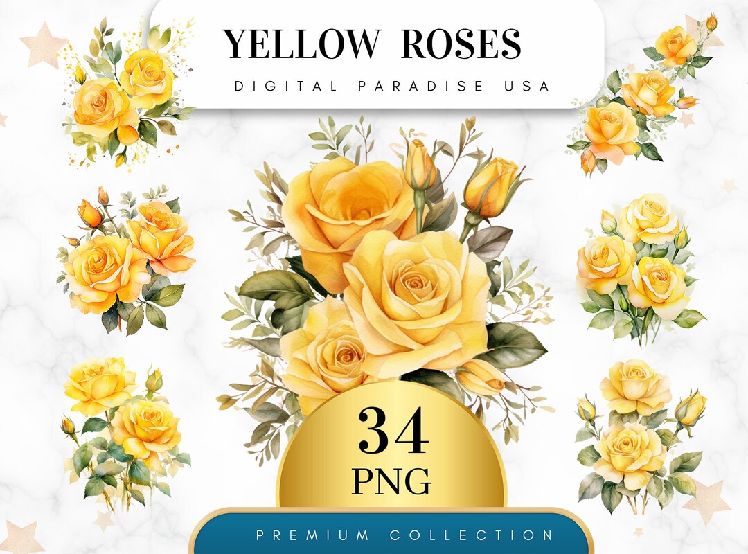 Set of 34, Watercolor Yellow Roses Clipart, Rose PNG, Floral Clipart ...