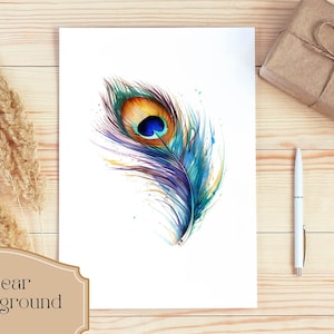 Set of 50, Peacock Feathers Clipart, Feather PNG, Boho Feather Art ...