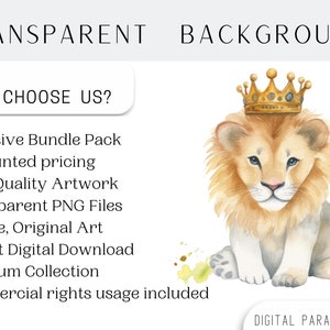 Set of 11, Watercolor Baby Lion Clipart, Lion PNG, Boho Lion ...