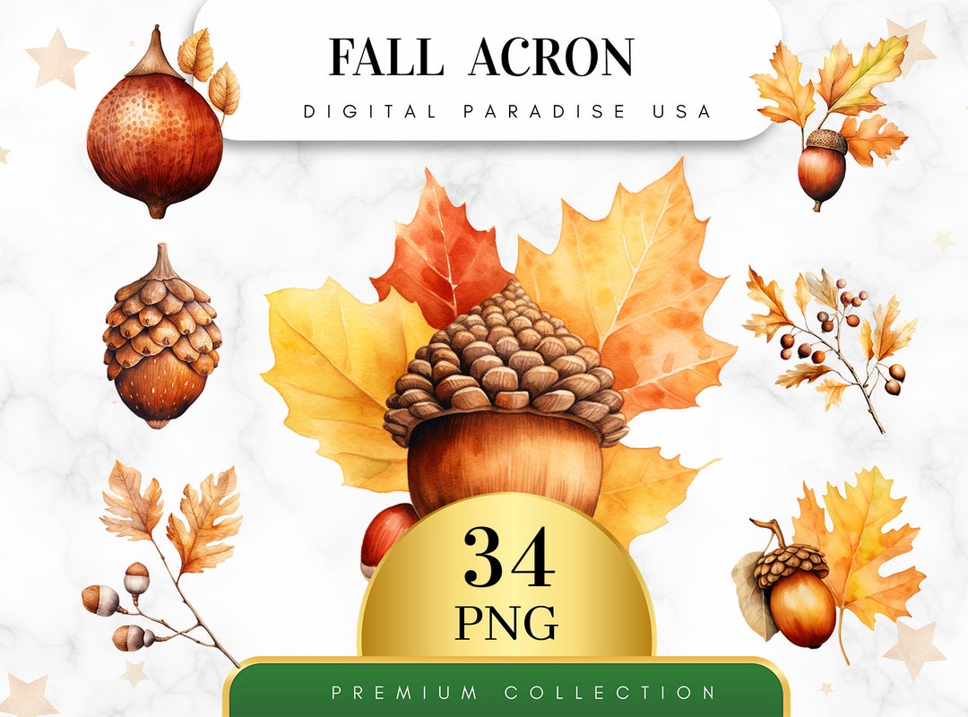 Set of 34, Fall Acorn Clipart, Watercolor Acorn, Acorn PNG, Food ...