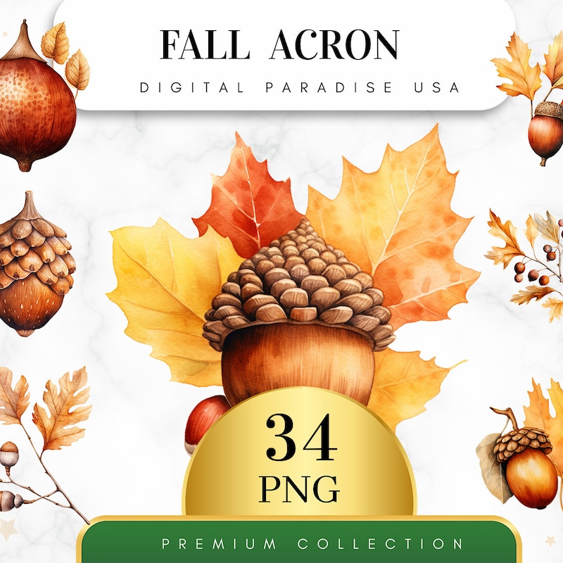 Acorn Clipart - Etsy