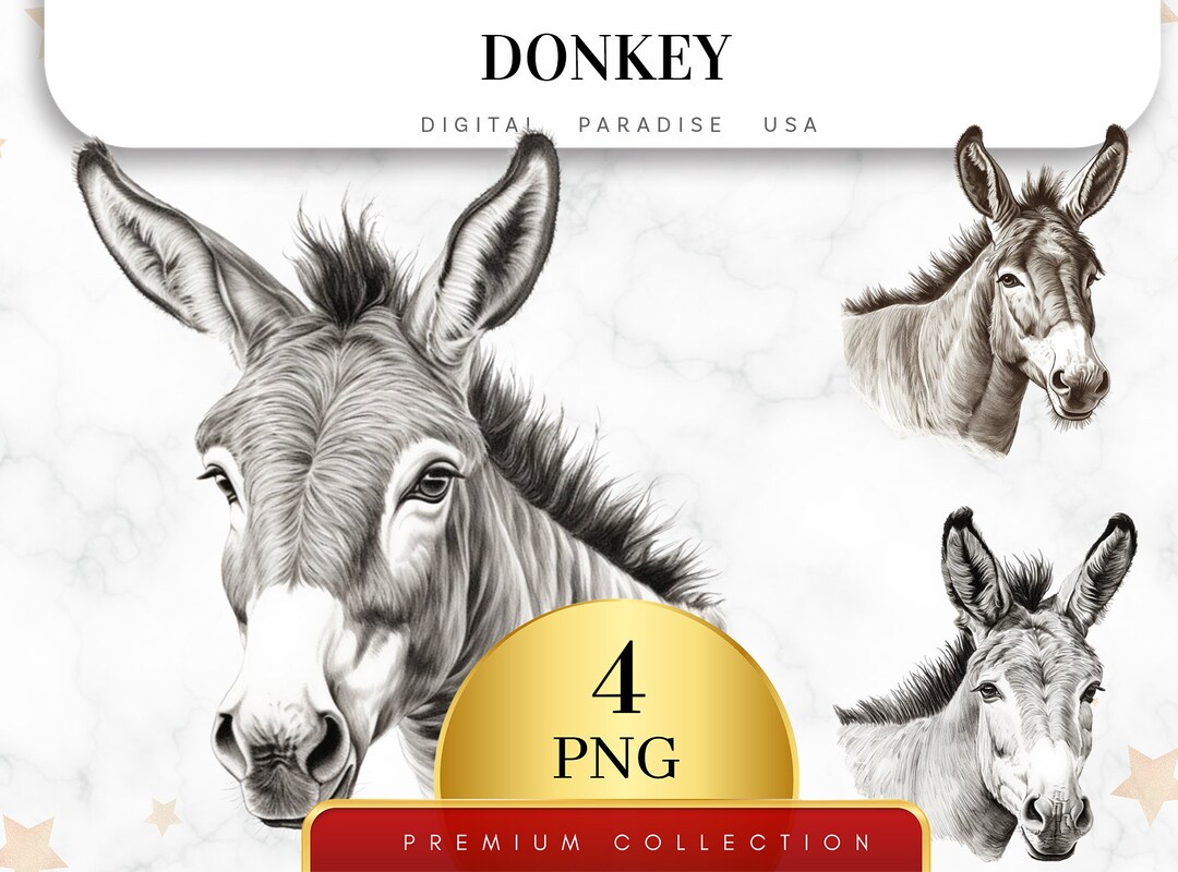 Set of 4, Watercolor Donkey Clipart, Donkey PNG, Farm Animal Clipart ...