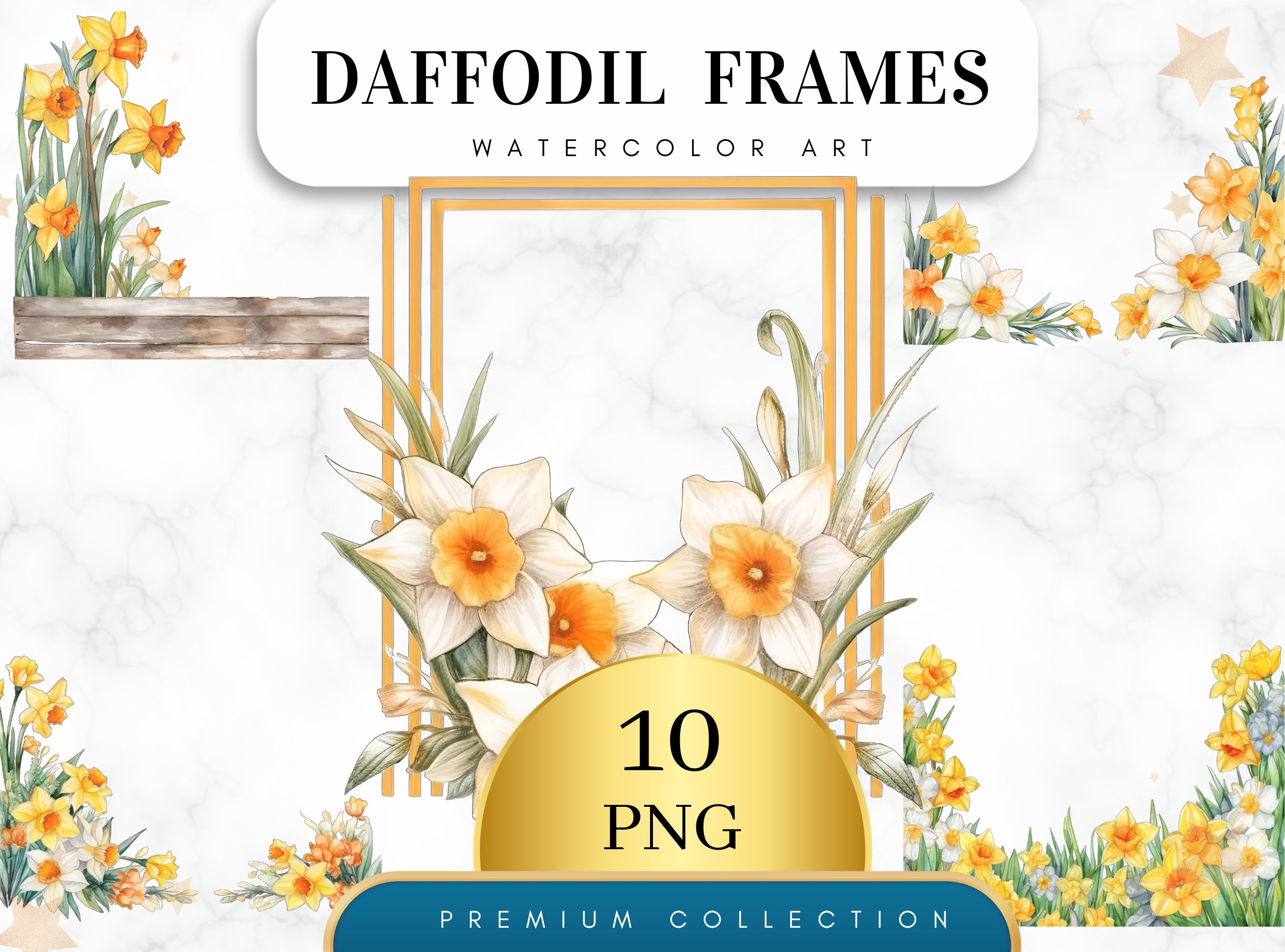 Daffodil Border Clipart