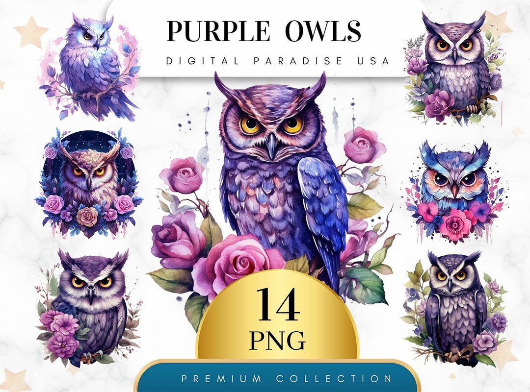 Set of 14, Purple Owl Clipart, Watercolor Owl, Owl PNG, Birds Clipart ...