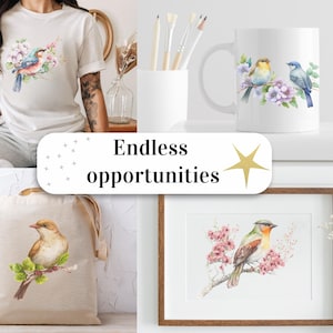 Set of 50, Watercolor Birds Clipart Bundle, Spring Birds Clipart, Birds ...