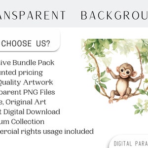 Set of 11, Baby Monkey Nature Clipart, Cute Monkey PNG, Jungle Animal ...