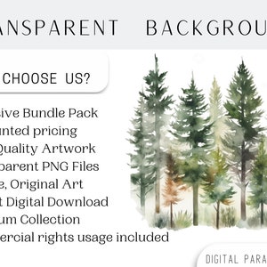 Set of 16, Watercolor Forest Tree Clipart, Pine Tree Png , Woodland ...