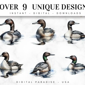 Set of 9, Watercolor Loon Bird Clipart, Loon Bird PNG, Nature Clipart ...