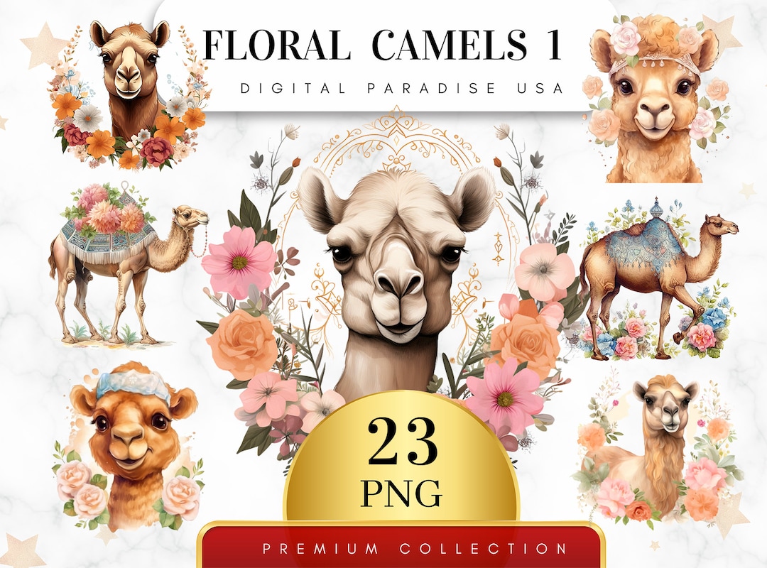 Set of 23, Floral Camels Clipart, Camel Png, Boho Desert Animals ...