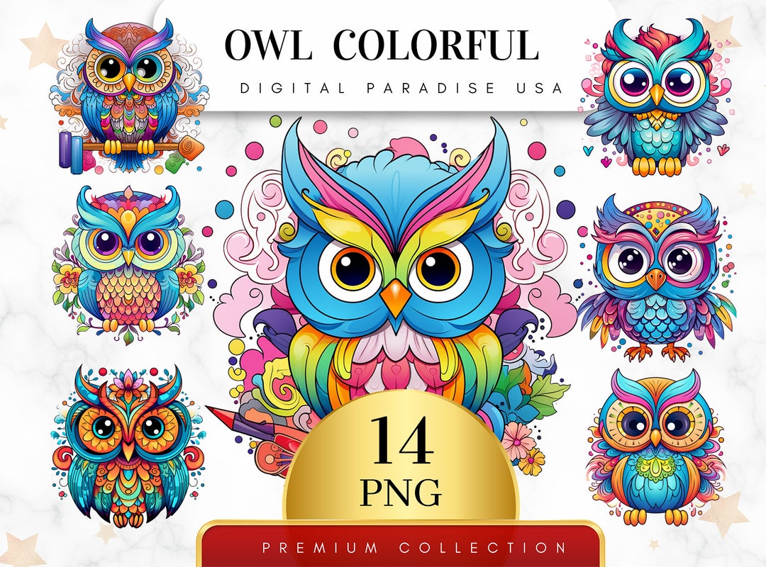 Set of 14, Colorful Owl Clipart, Owl PNG, Watercolor Owl, Owl Scrapbook ...