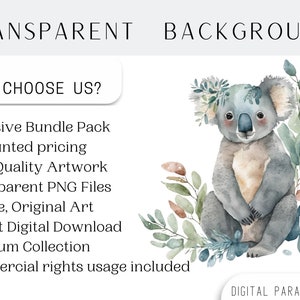 Set of 13, Watercolor Koala Clipart, Koala PNG, Cute Koalas, Koala Bear ...