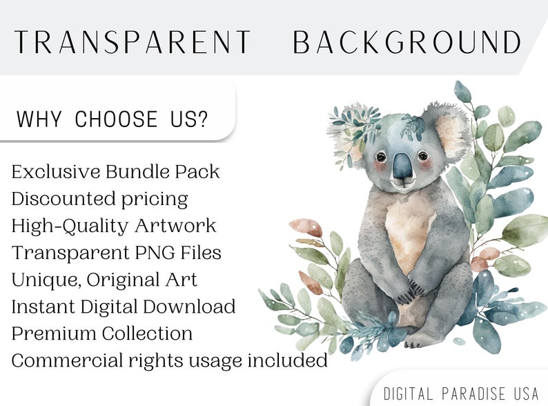 Set of 13, Watercolor Koala Clipart, Koala PNG, Cute Koalas, Koala Bear ...