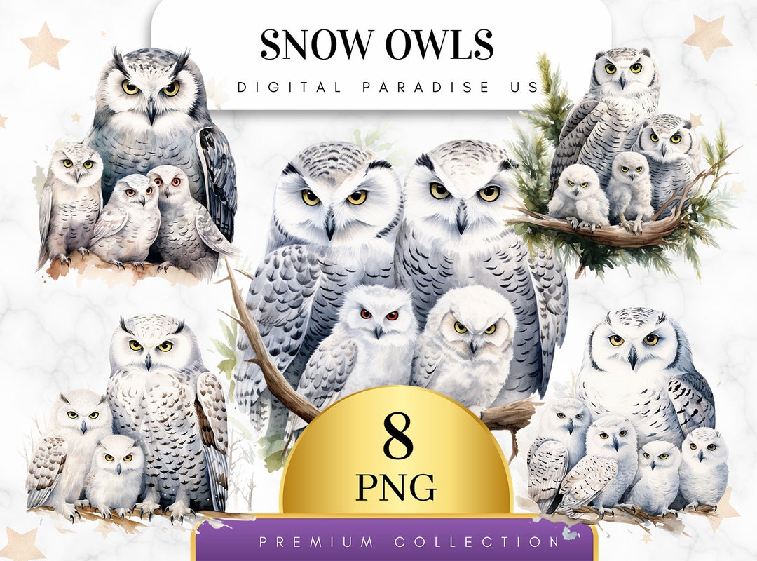 Set of 8, Snow Owls Clipart, Winter Owl PNG, Snowbird Clipart, Arctic ...