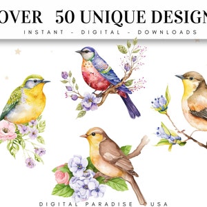 Set of 50, Watercolor Birds Clipart Bundle, Spring Birds Clipart, Birds ...