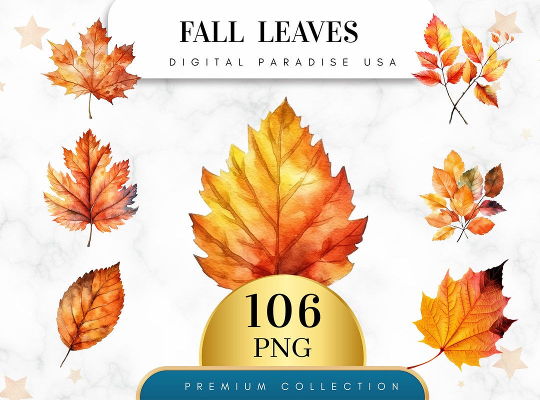 Set of 106, Fall Leaves Clipart, Autumn Leaves PNG, Fall Foliage Bundle ...
