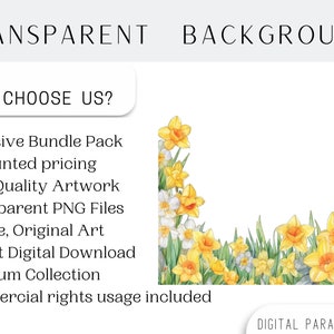 Set of 10, Daffodils Frame & Border Watercolor, Floral Frame Clipart ...