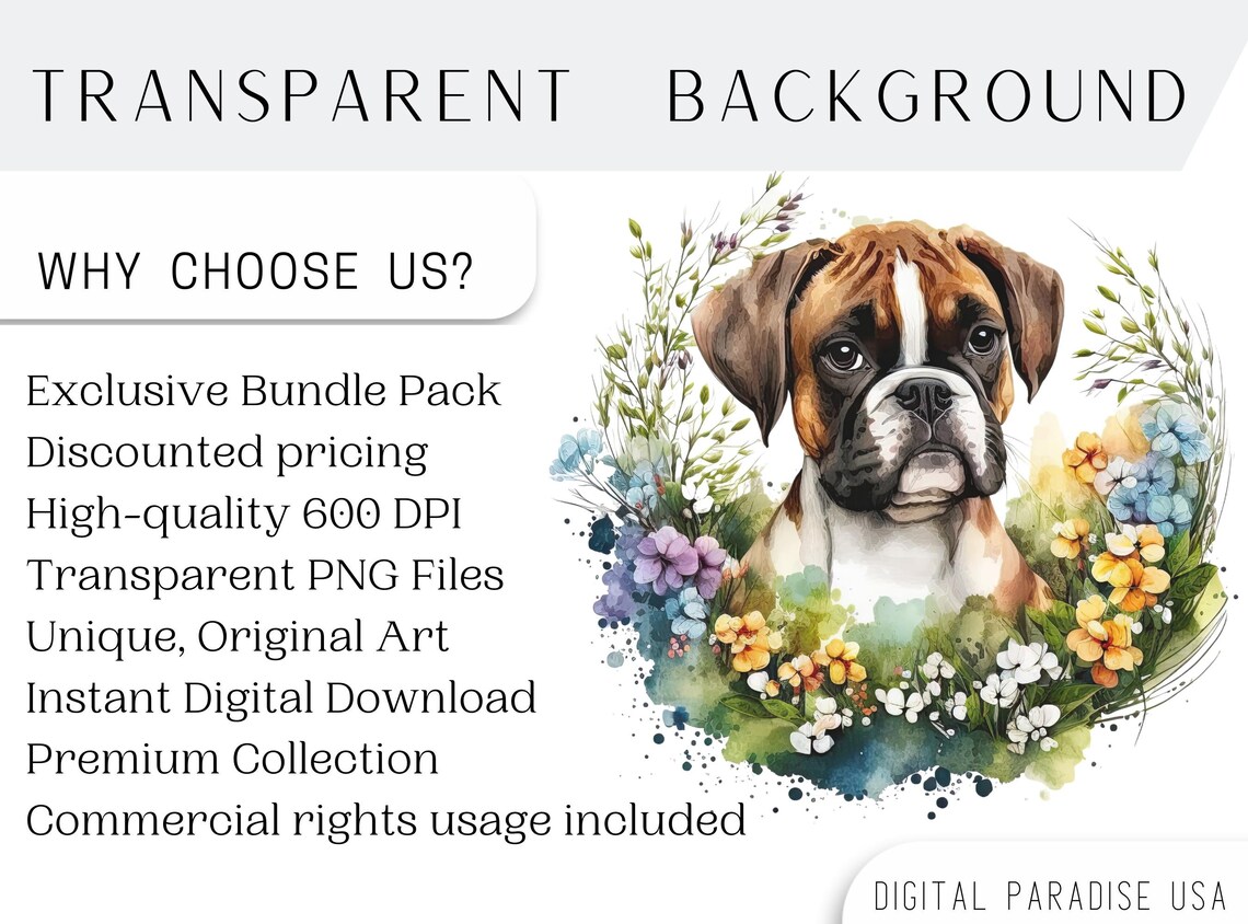 Set of 14 Watercolor Boxer Dog Clipart Spring Boxer Dog With - Etsy