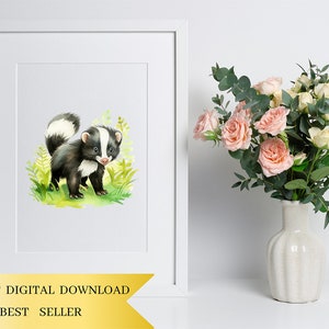 Set of 9, Skunk Forest Clipart, Skunk PNG, Woodland Animals PNG, Animal ...