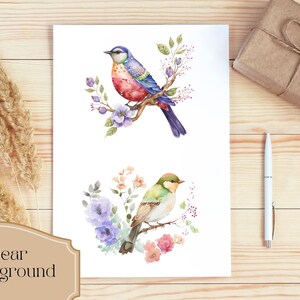 Set of 50, Watercolor Birds Clipart Bundle, Spring Birds Clipart, Birds ...