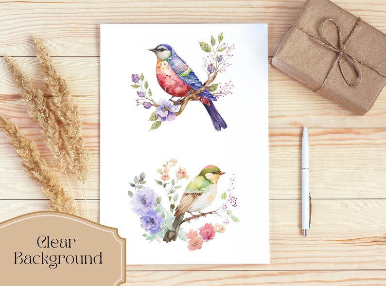 Set of 50, Watercolor Birds Clipart Bundle, Spring Birds Clipart, Birds ...