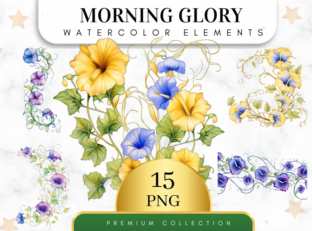 Set of 15, Morning Glory Elements, Morning Glory PNG, Floral Frame ...