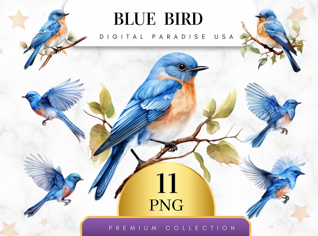 Set of 11, Watercolor Blue Bird Clipart, Bird PNG, Bird Clipart, Junk ...