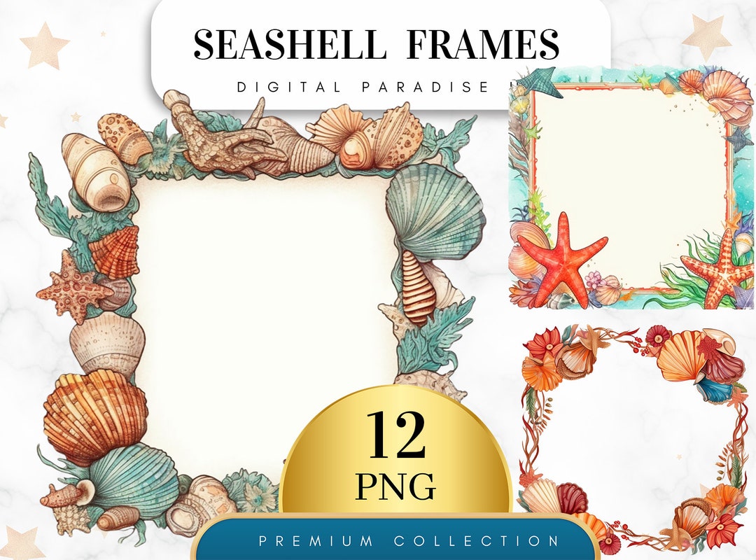 Set of 12, Seashell Frames Clipart, Seashell Border, Seashell PNG ...