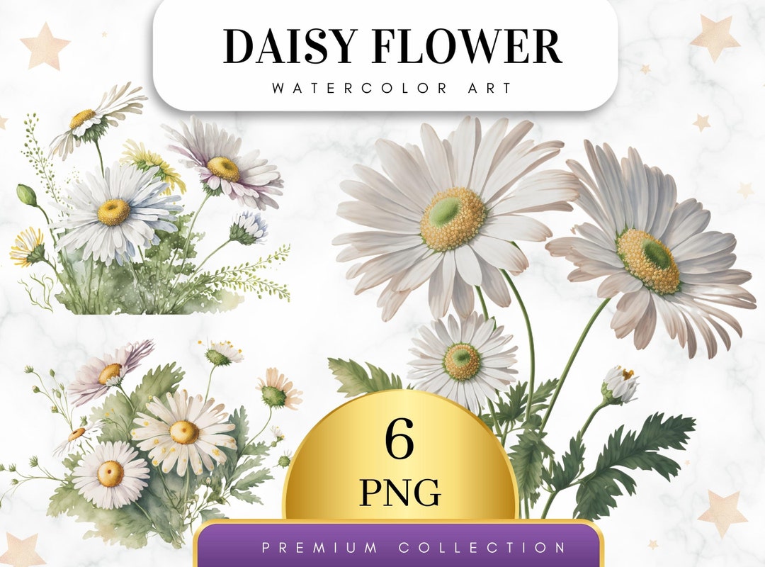 Set of 6, Watercolor Daisies Clipart, Spring Floral PNG, Daisies ...