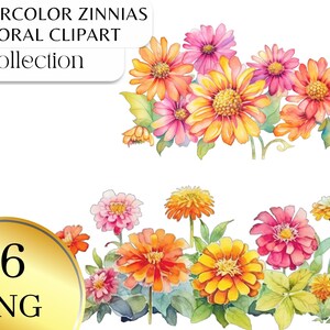 Set of 16 Watercolor Zinnias Clipart Zinnias Floral PNG - Etsy
