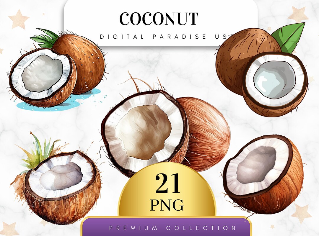 Set of 21, Watercolor Coconut Clipart, Tropical Coconut PNG, Summer ...