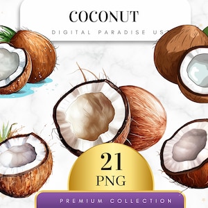 Set of 21, Watercolor Coconut Clipart, Tropical Coconut PNG, Summer ...