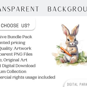 Set of 15, Watercolor Rabbit Carrot Clipart, Rabbit Clipart, Carrot PNG ...