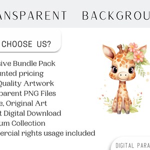 Set of 12, Cute Giraffe Clipart, Giraffe PNG, Baby Animal Clipart ...