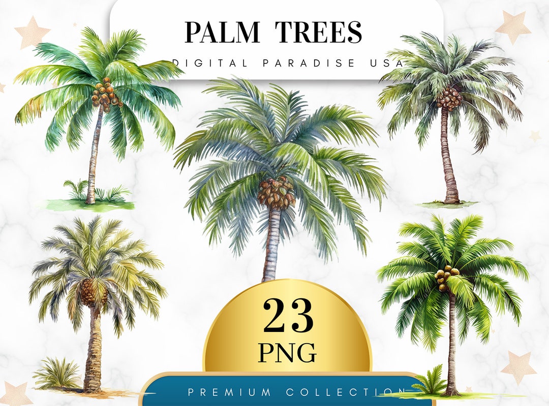 Set of 23, Palm Trees Clipart, Tropical Trees Clip Art, Summer Clipart ...