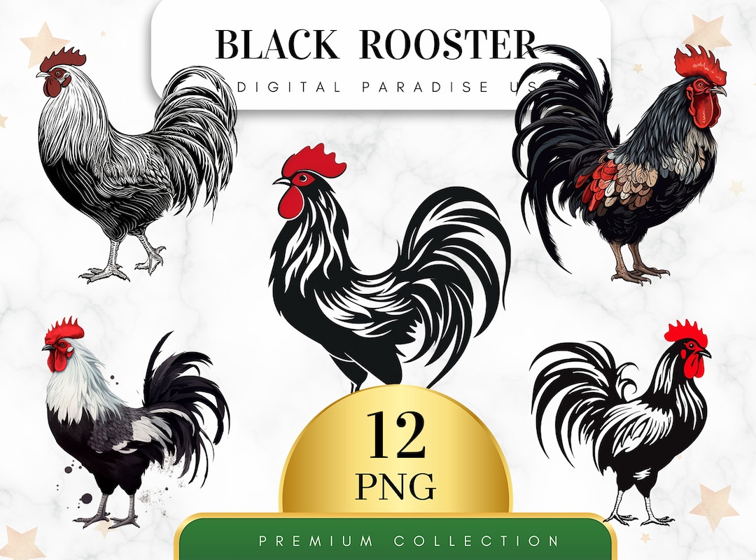 Set of 12, Black Rooster Clipart, Farm Animal Clipart, Rooster PNG ...