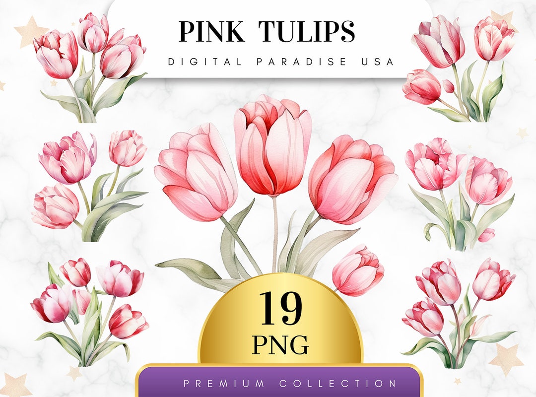 Set of 19, Watercolor Pink Tulips, Pink Tulip PNG, Floral Clipart ...