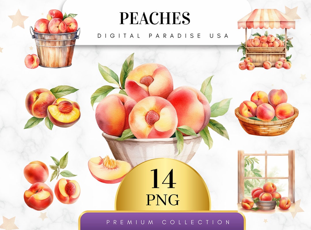 Set of 14, Watercolor Peaches Clipart, Peach PNG, Fruit Clipart, Peach ...