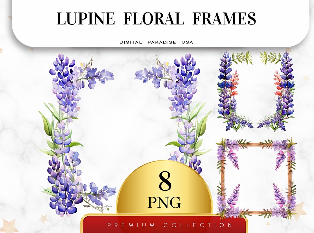 Set of 8, Watercolor Lupine Floral Frames, Lupine Clipart, Floral Frame ...