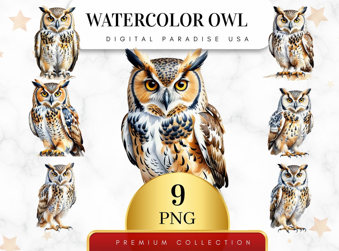 Set of 9, Watercolor Owl Clipart, Owl PNG, Cute Owl Clipart, Owl Art ...