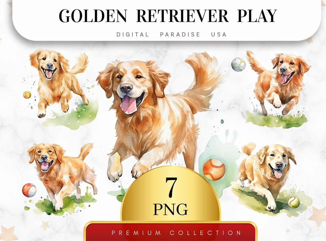Set of 7, Golden Retriever Play Clipart, Golden Retriever PNG, Dog ...