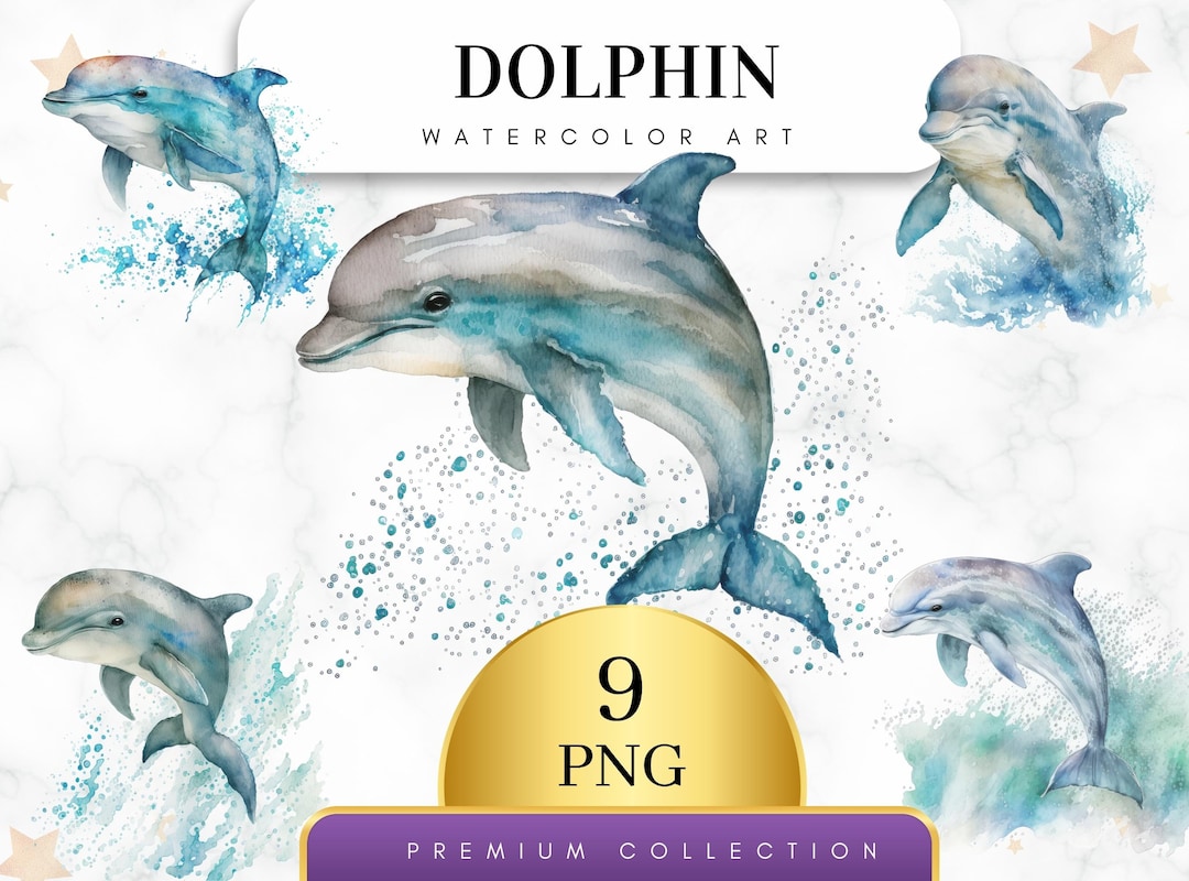 Set of 9 PNG+9 Jpg, Watercolor Dolphin, Dolphin Clipart, PNG for ...
