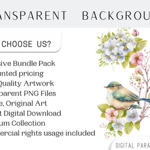 Set of 52, Watercolor Birds Clip Art, Colorful Birds Clipart, Spring ...