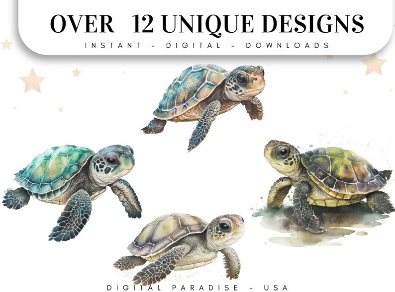 Set of 12 Sea Turtle PNG Watercolor Sea Turtle Clipart Sea - Etsy