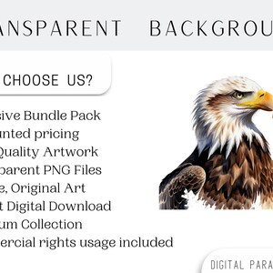 Set of 10, Bald Eagle Clipart, Eagle PNG, Wildlife Clipart, Bird ...
