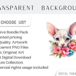 Set of 12, Floral Sphynx Cat Clipart, Sphynx Cat PNG, Floral Cat Art ...