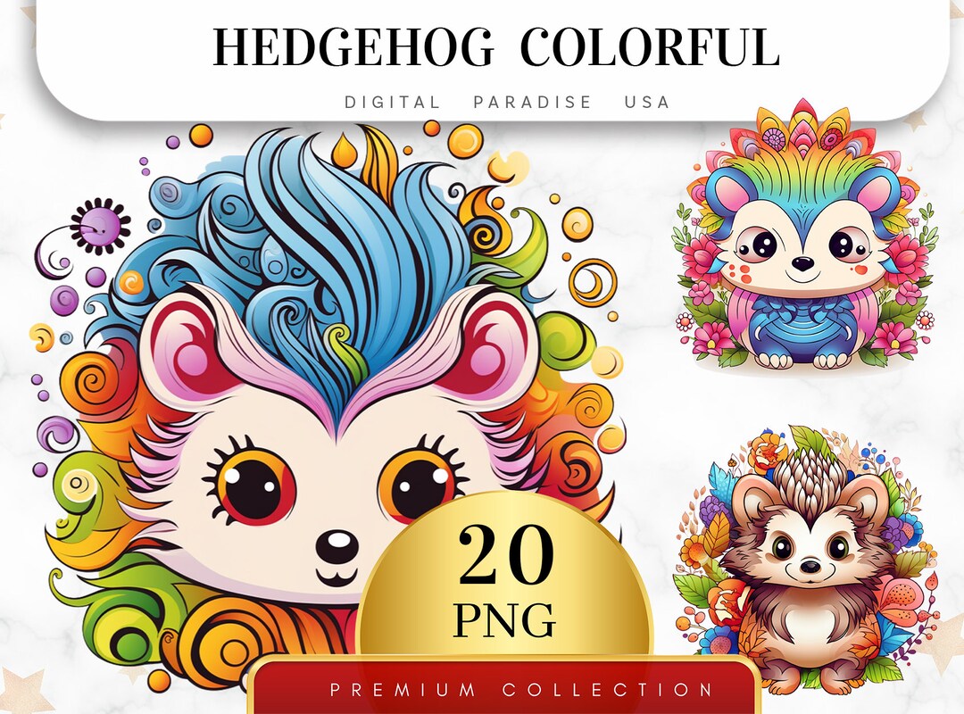 Set of 20 Colorful Hedgehog Clipart Hedgehog PNG Cute - Etsy