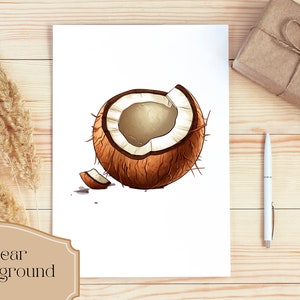 Set of 21, Watercolor Coconut Clipart, Tropical Coconut PNG, Summer ...