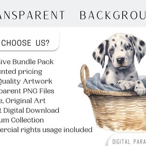 Set of 30, Watercolor Dogs in Basket, Animal PNG, Cute Floral Dogs ...