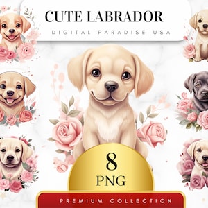 Set of 8, Cute Labrador Clipart, Labrador PNG, Dog Clipart, Puppy ...