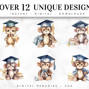 Set of 12, Monkey Graduation Clipart, Monkey Graduation Cap, Monkey PNG ...